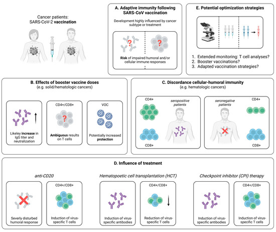 Pathogens | Free Full-Text | SARS-CoV-2-Specific T Cell Responses in Immunocompromised ...