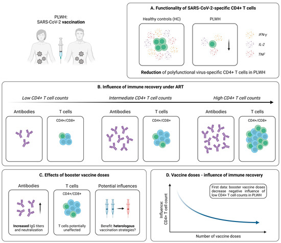 Pathogens | Free Full-Text | SARS-CoV-2-Specific T Cell Responses in Immunocompromised ...