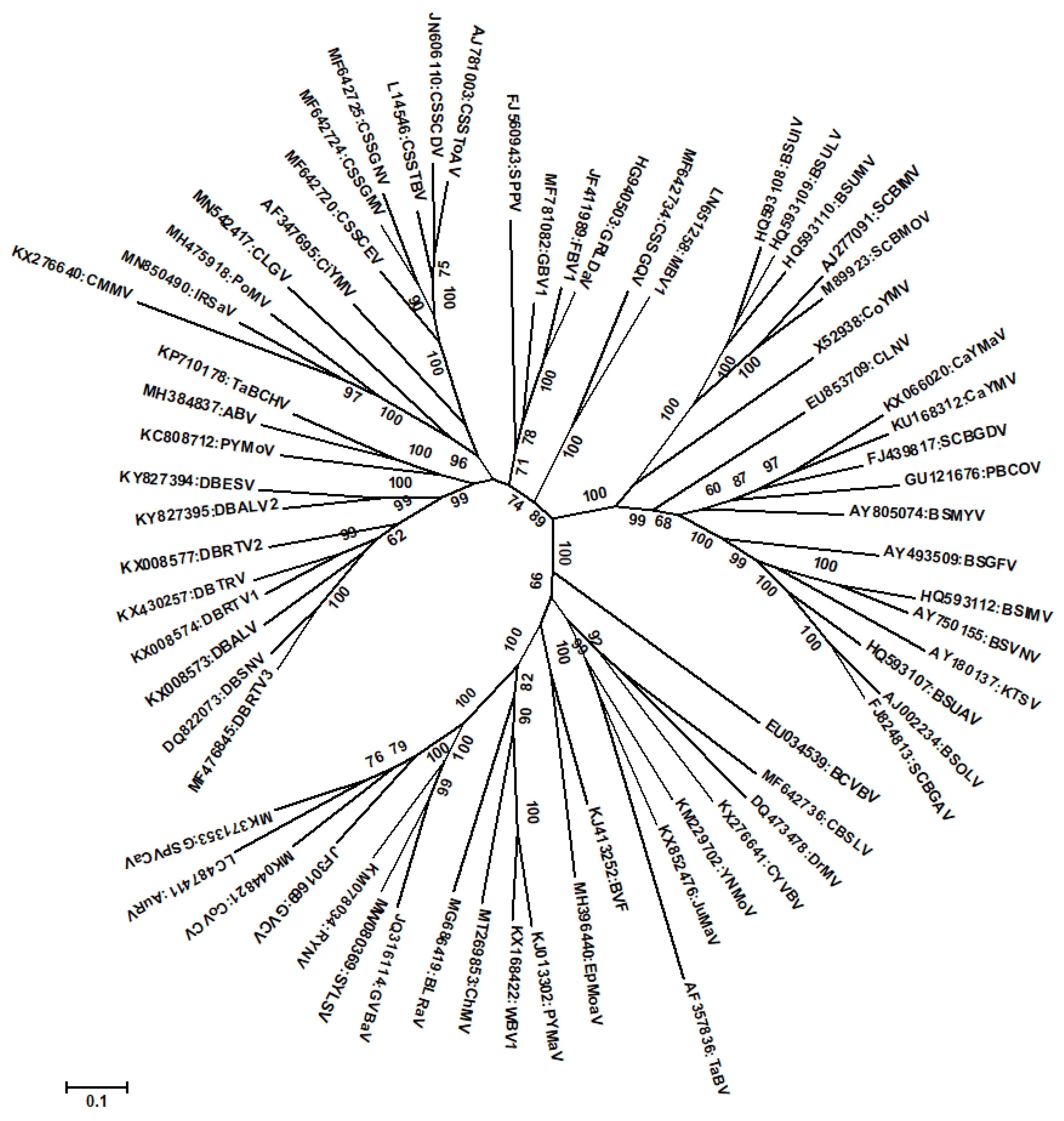 Emerging and Re-Emerging Diseases Caused by Badnaviruses