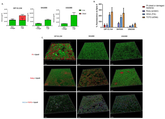 Staphylococcus aureus Behavior on Artificial Surfaces Mimicking Bone ...