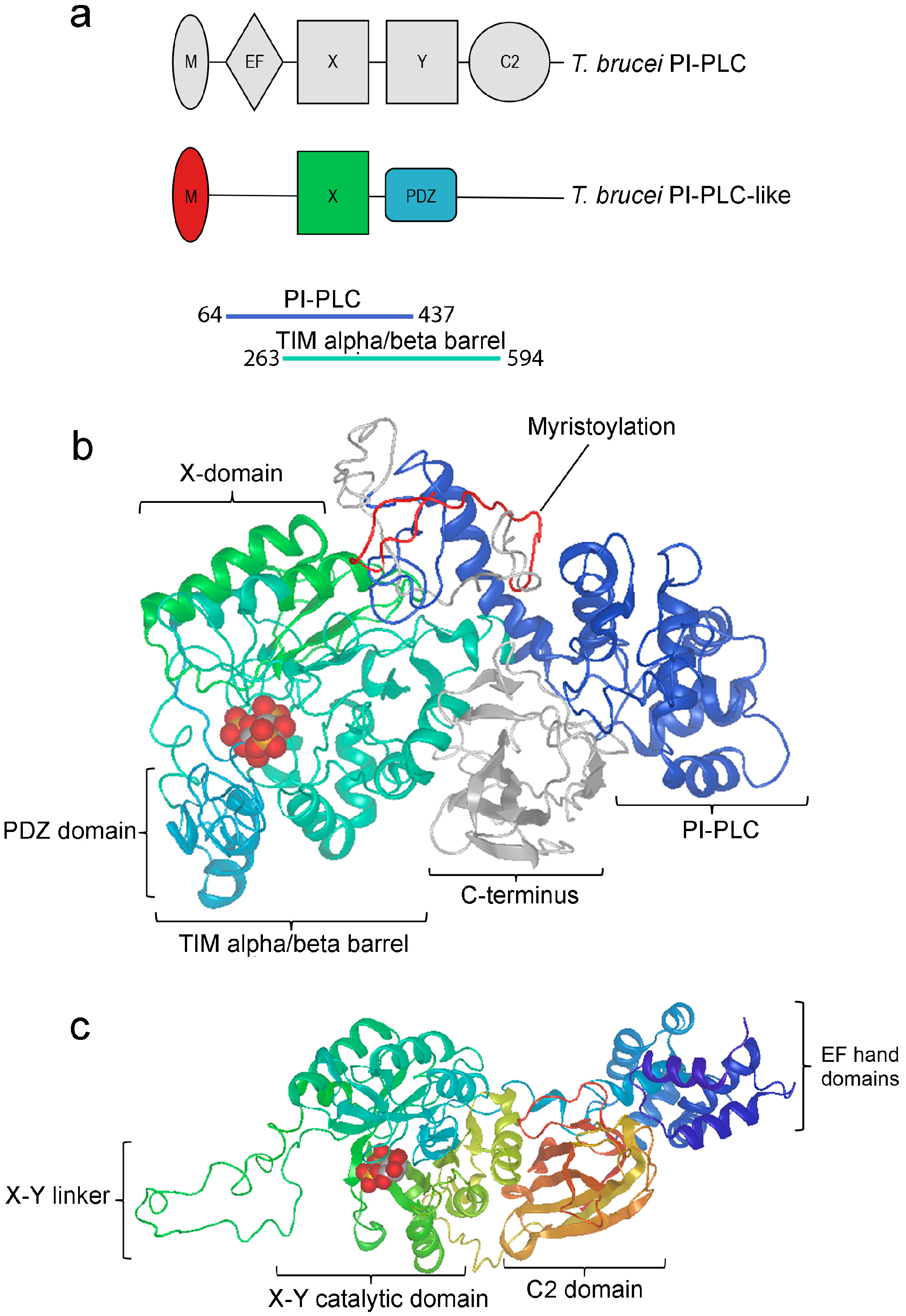 An X-Domain Phosphoinositide Phospholipase C (PI-PLC-like) of ...