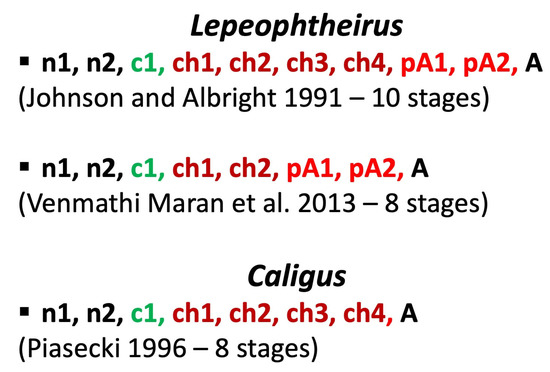 Are We Ready to Get Rid of the Terms “Chalimus” and ”Preadult” in the ...
