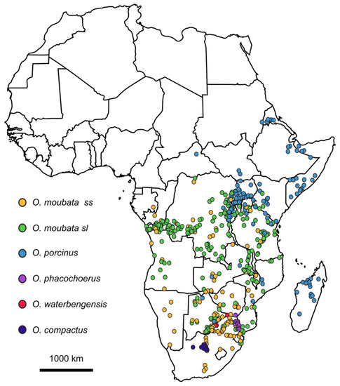 An Updated Review of Ornithodoros Ticks as Reservoirs of African Swine ...