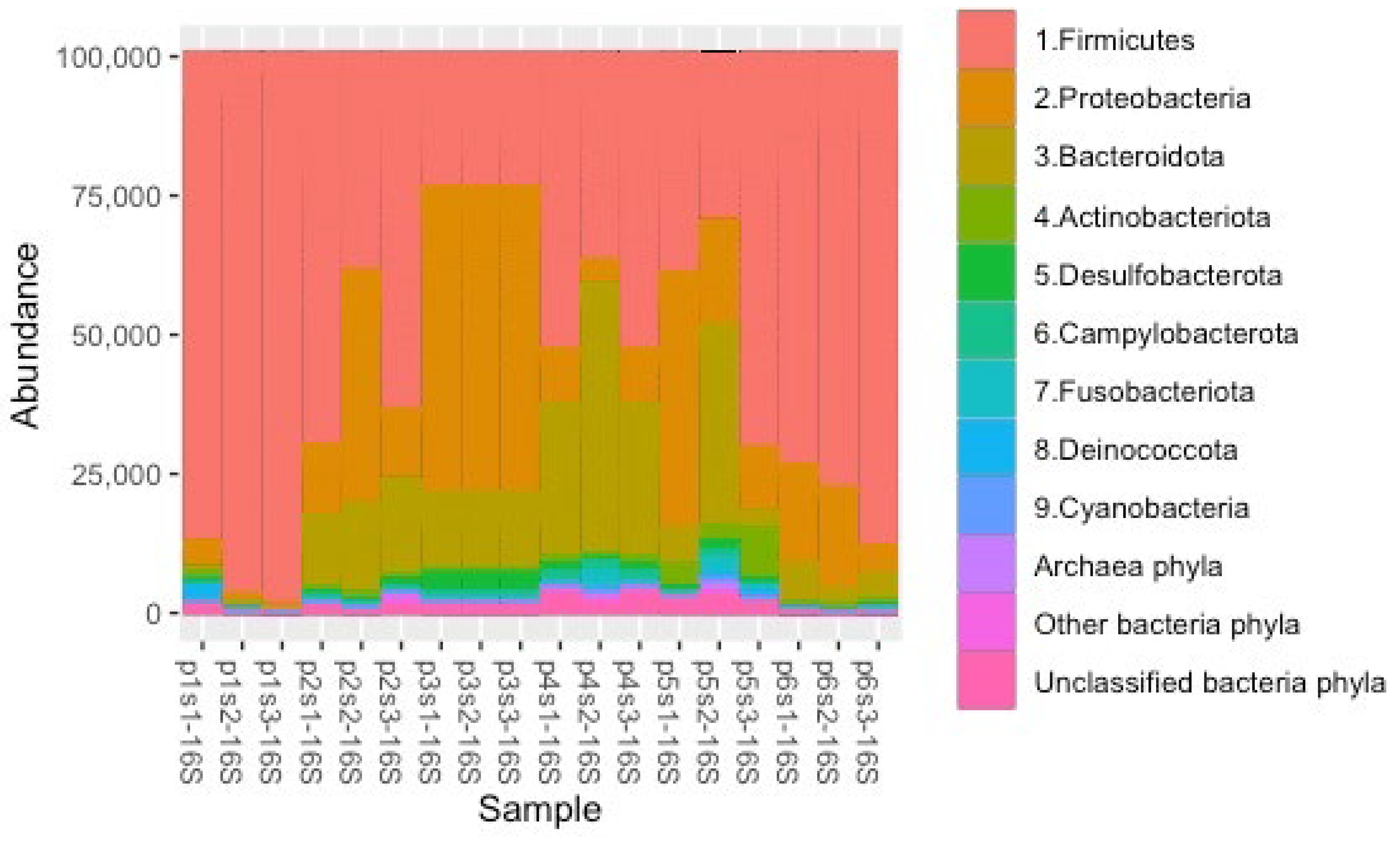 The Microbial Genetic Diversity and Succession Associated with ...