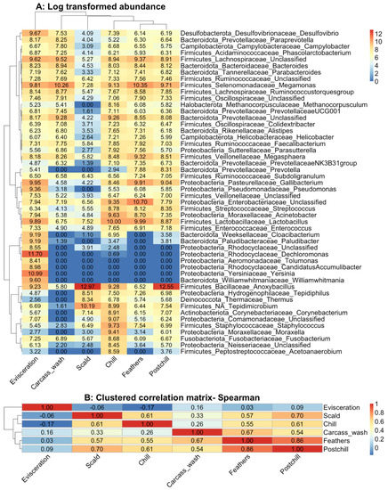 The Microbial Genetic Diversity and Succession Associated with ...
