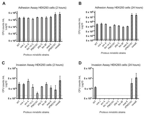 Role of Bacterial Surface Components in the Pathogenicity of Proteus ...