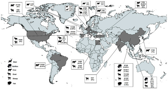 A Systematic Review and Meta-Analysis on Hepatitis E Virus Detection in ...