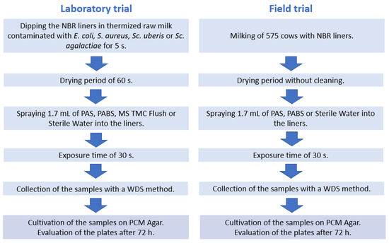 Pathogens | Free Full-Text | Intermediate Cluster Disinfection: Which ...