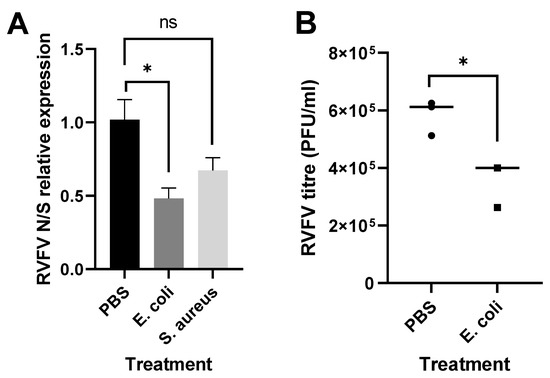 Rift Valley Fever Virus Primes Immune Responses in Aedes aegypti Cells
