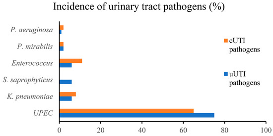 Urinary Tract Infections: The Current Scenario and Future Prospects