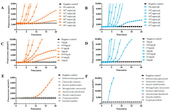 Establishment of a Simple and Rapid Nucleic Acid Detection Method for ...