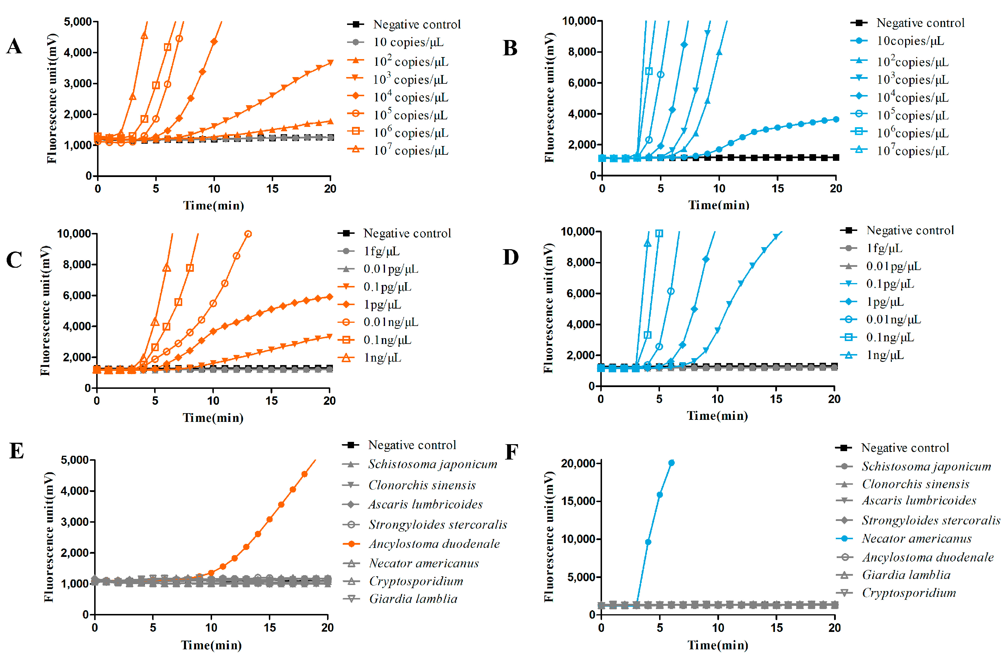 Establishment of a Simple and Rapid Nucleic Acid Detection Method for ...