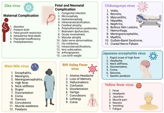 Mechanism of Immune Evasion in Mosquito-Borne Diseases