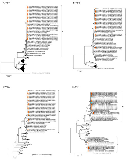 The Evolution of Post-Vaccine G8P[4] Group a Rotavirus Strains in ...