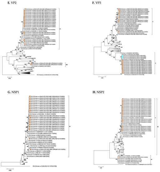 The Evolution of Post-Vaccine G8P[4] Group a Rotavirus Strains in ...
