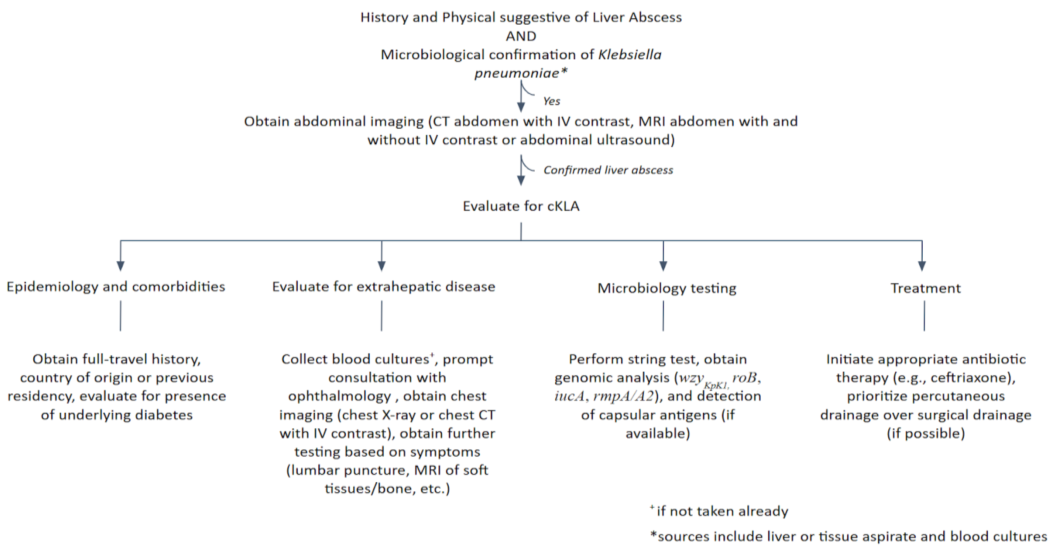 Clinical Spectrum and Outcomes of Cryptogenic Klebsiella pneumoniae ...