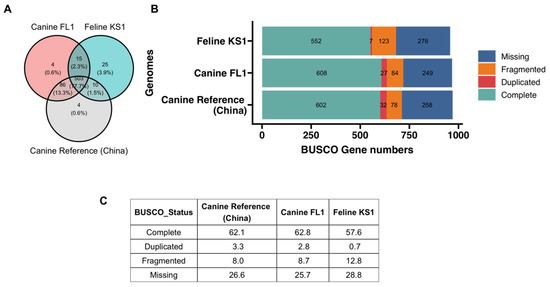Comparative Genomic Analysis and Species Delimitation: A Case for Two ...