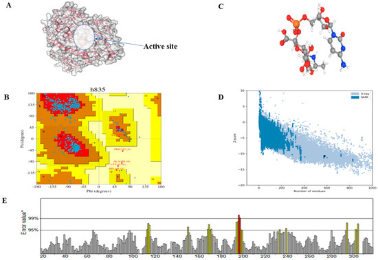 Molecular Structural Analysis of Porcine CMAH–Native Ligand Complex and ...