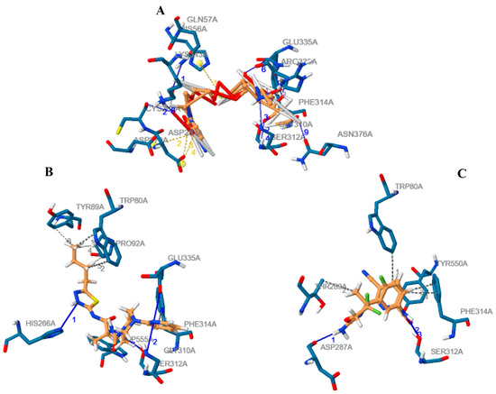 Molecular Structural Analysis of Porcine CMAH–Native Ligand Complex and ...