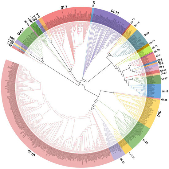 Key Aspects of Coronavirus Avian Infectious Bronchitis Virus