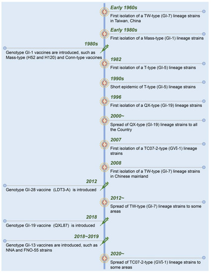 Key Aspects of Coronavirus Avian Infectious Bronchitis Virus