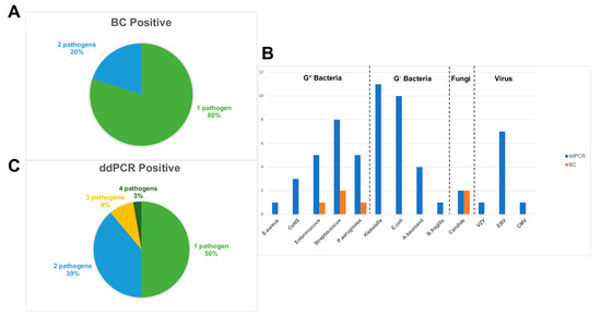 Clinical Application of a Multiplex Droplet Digital PCR in the Rapid ...