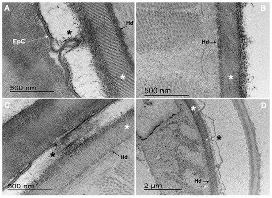 Pathogens | Free Full-Text | Anthelmintic-Like Activity and ...