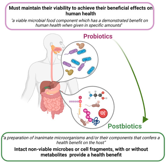 Resistance, Tolerance, Virulence and Bacterial Pathogen Fitness—Current ...