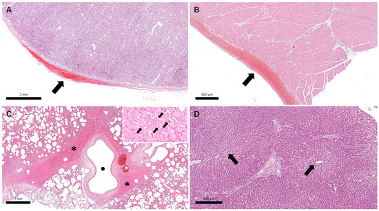 Identification of the Novel Streptococcus equi subsp. zooepidemicus ...
