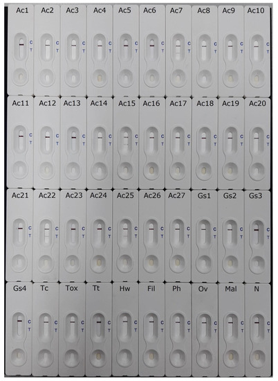 Rapid Single-Step Immunochromatographic Assay for Angiostrongylus ...