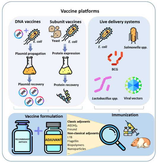 Recombinant Dna Vaccines