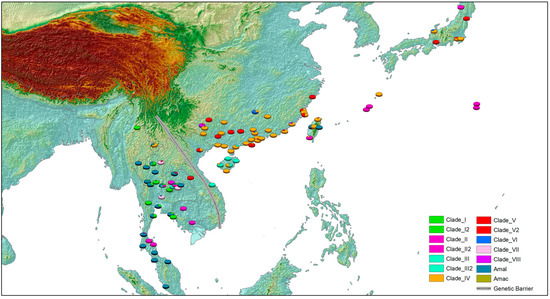The Global Spread Pattern of Rat Lungworm Based on Mitochondrial Genetics