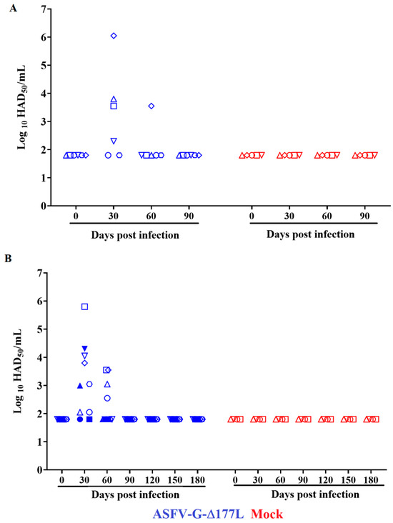 ASF Vaccine Candidate ASFV-G-∆I177L Does Not Exhibit Residual Virulence ...