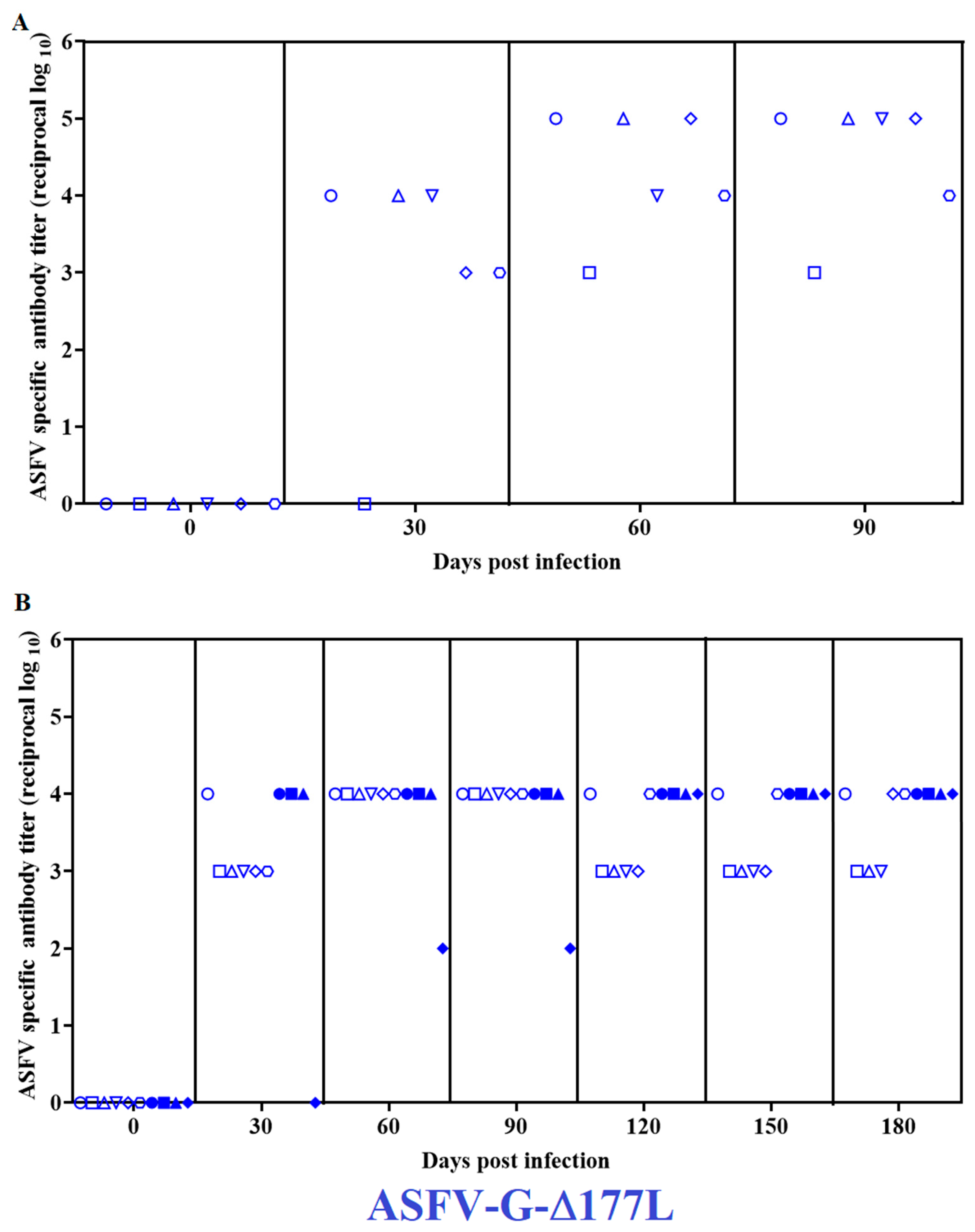 ASF Vaccine Candidate ASFV-G-∆I177L Does Not Exhibit Residual Virulence ...