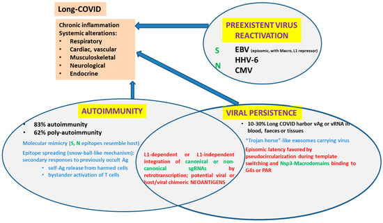 Towards Understanding Long COVID: SARS-CoV-2 Strikes the Host Cell Nucleus