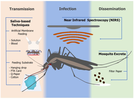 Pathogens | Free Full-Text | Nondestructive Methods of Pathogen ...