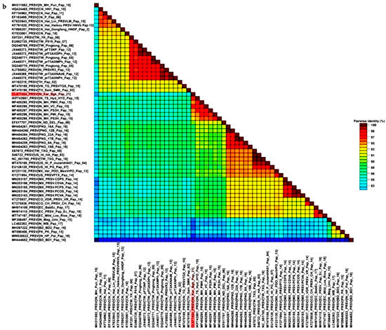 Survey, Detection, Characterization of Papaya Ringspot Virus from ...