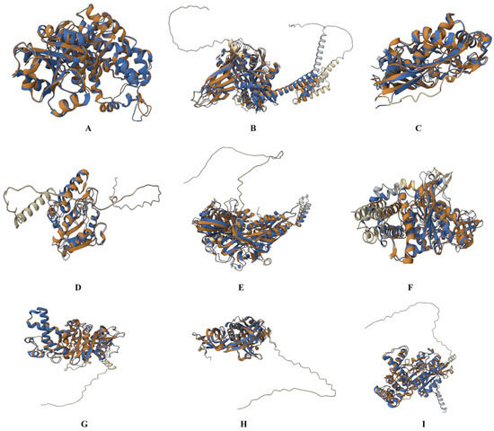 Molecular Mimicry Mapping in Streptococcus pneumoniae: Cues for ...