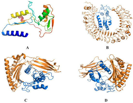 Molecular Mimicry Mapping in Streptococcus pneumoniae: Cues for ...