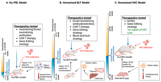 Pathogens | Free Full-Text | Humanized Mice for Studies of HIV-1 ...