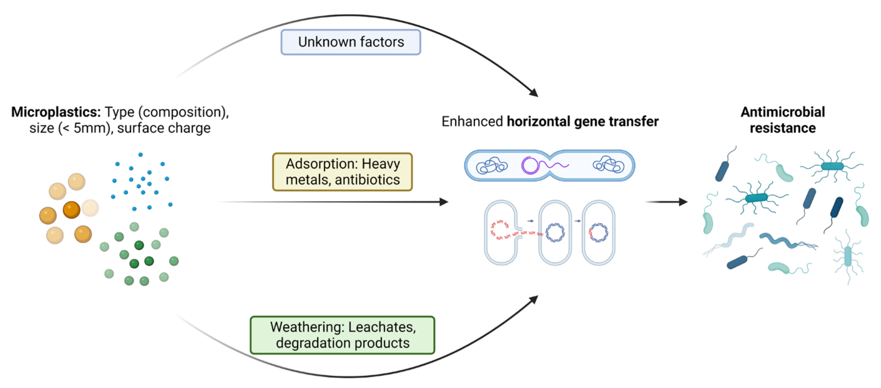 Interaction of Microbes with Microplastics and Nanoplastics in the ...