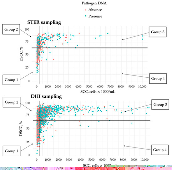 Pathogen Detection via Quantitative PCR in Milk of Healthy Cows ...