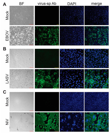 Art of the Kill: Designing and Testing Viral Inactivation Procedures ...