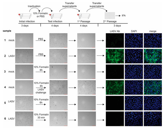 Art of the Kill: Designing and Testing Viral Inactivation Procedures ...