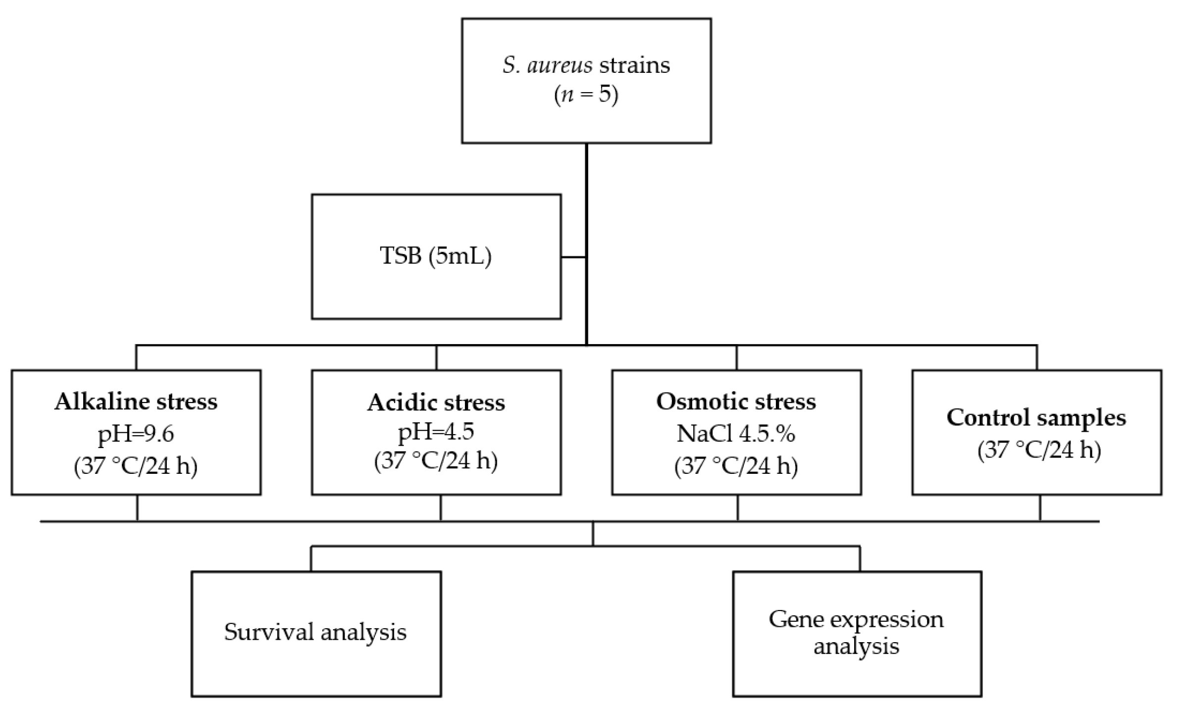 Impact of the Food-Related Stress Conditions on the Expression of Enterotoxin Genes among ...