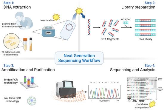 The Role of Next-Generation Sequencing (NGS) in the Management of Tuberculosis: Practical Review ...