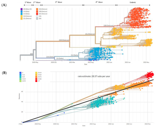 Timeline of SARS-CoV-2 Transmission in Sabah, Malaysia: Tracking the ...