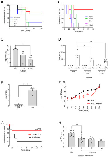 Biologically Relevant Murine Models of Chronic Pseudomonas aeruginosa ...