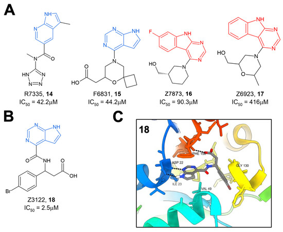 An Update on the Current State of SARS-CoV-2 Mac1 Inhibitors