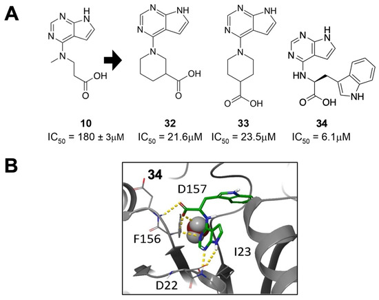 An Update on the Current State of SARS-CoV-2 Mac1 Inhibitors